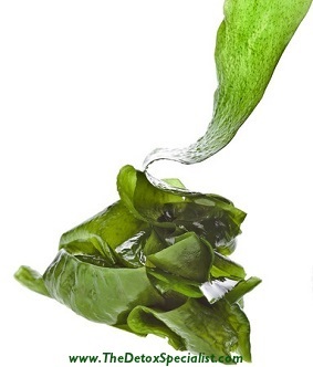 Top 3 Ways Of Detoxing Your Body With Sea Kelp - The Detox Specialist